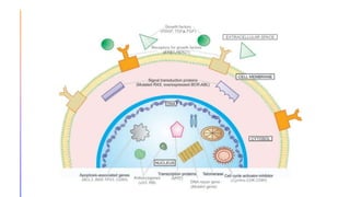 Pathogenesis of cancer | PPTX