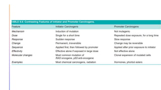 Pathogenesis of cancer | PPTX