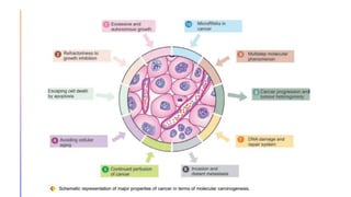 Pathogenesis of cancer | PPTX