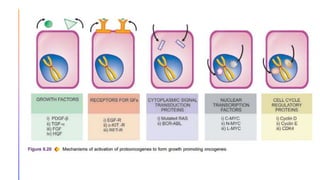 Pathogenesis of cancer | PPTX
