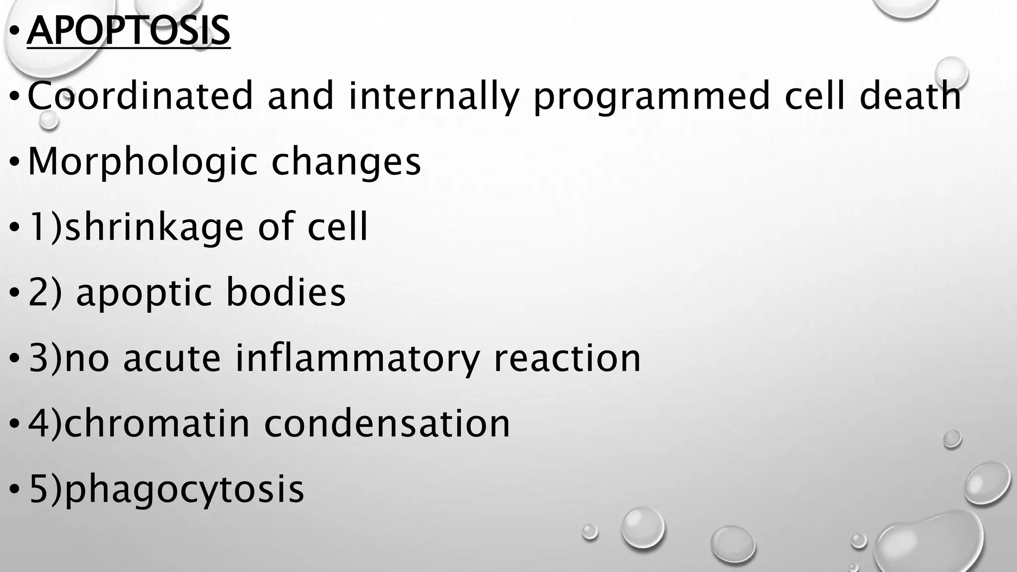 cell injury morphology.pptx