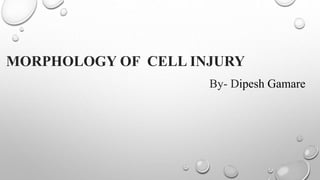 cell injury morphology.pptx