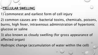 cell injury morphology.pptx