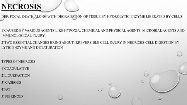 cell injury morphology.pptx | Digestive Disorders | Diseases and Conditions