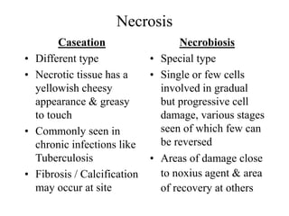 Pathology diseases+ Adaptation ( LCPS).ppt