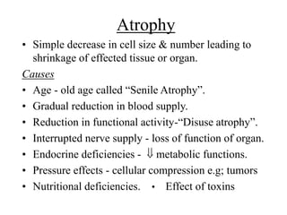 Pathology diseases+ Adaptation ( LCPS).ppt