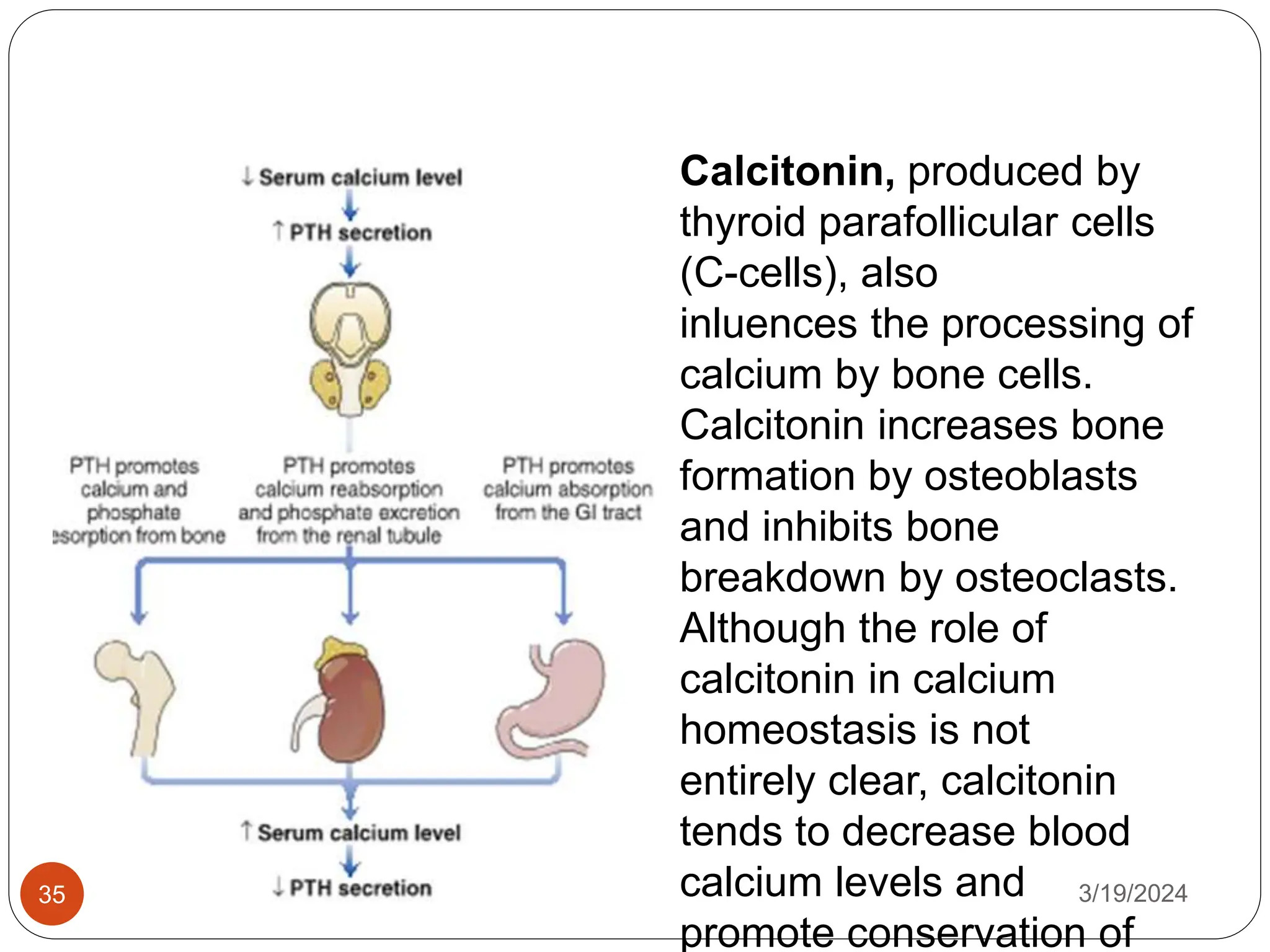 PATHO ENDOCRINE SYSTEM.pptx