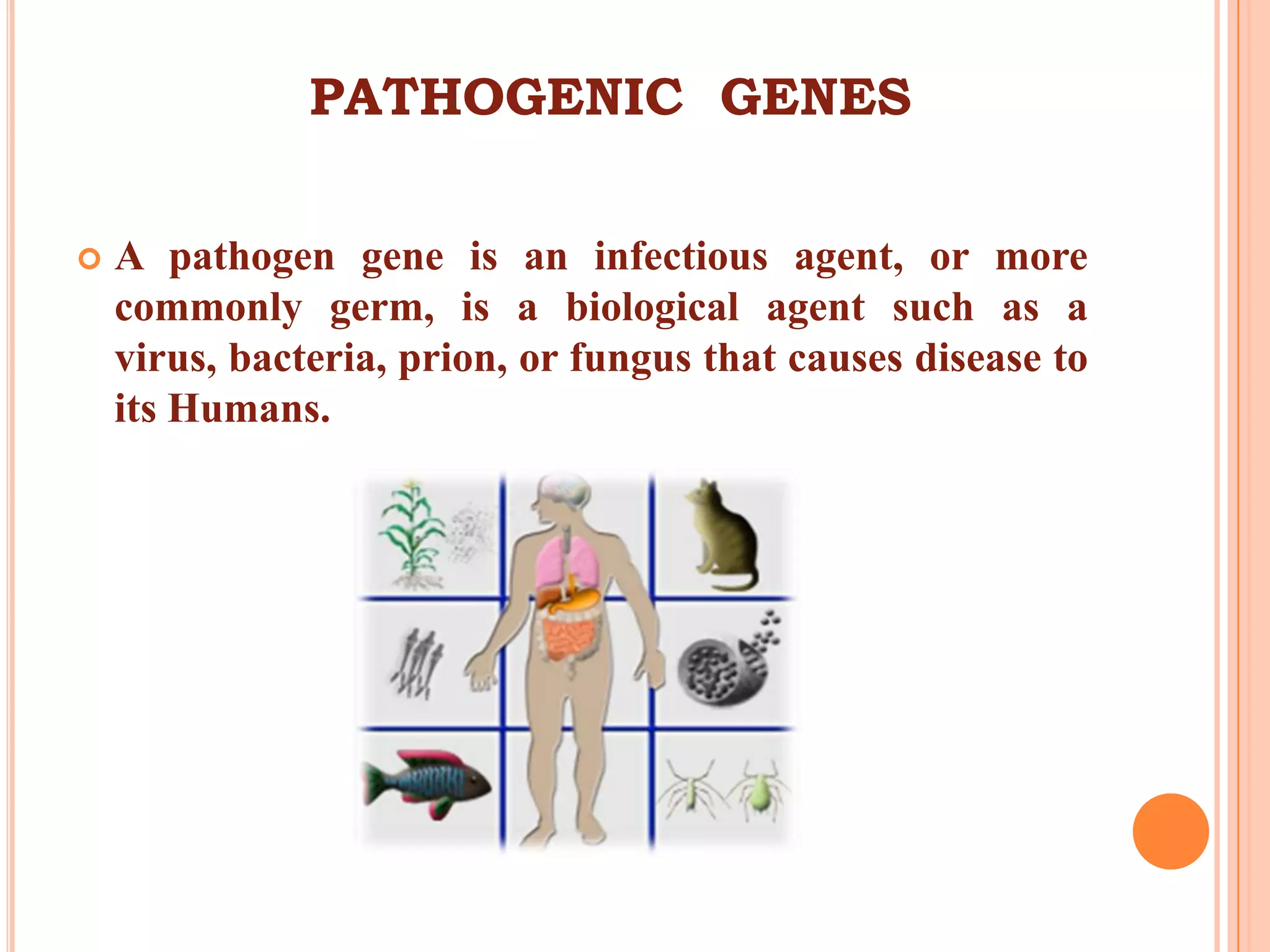 Pathogenic Gene Database of Human Pathogen | PPSX
