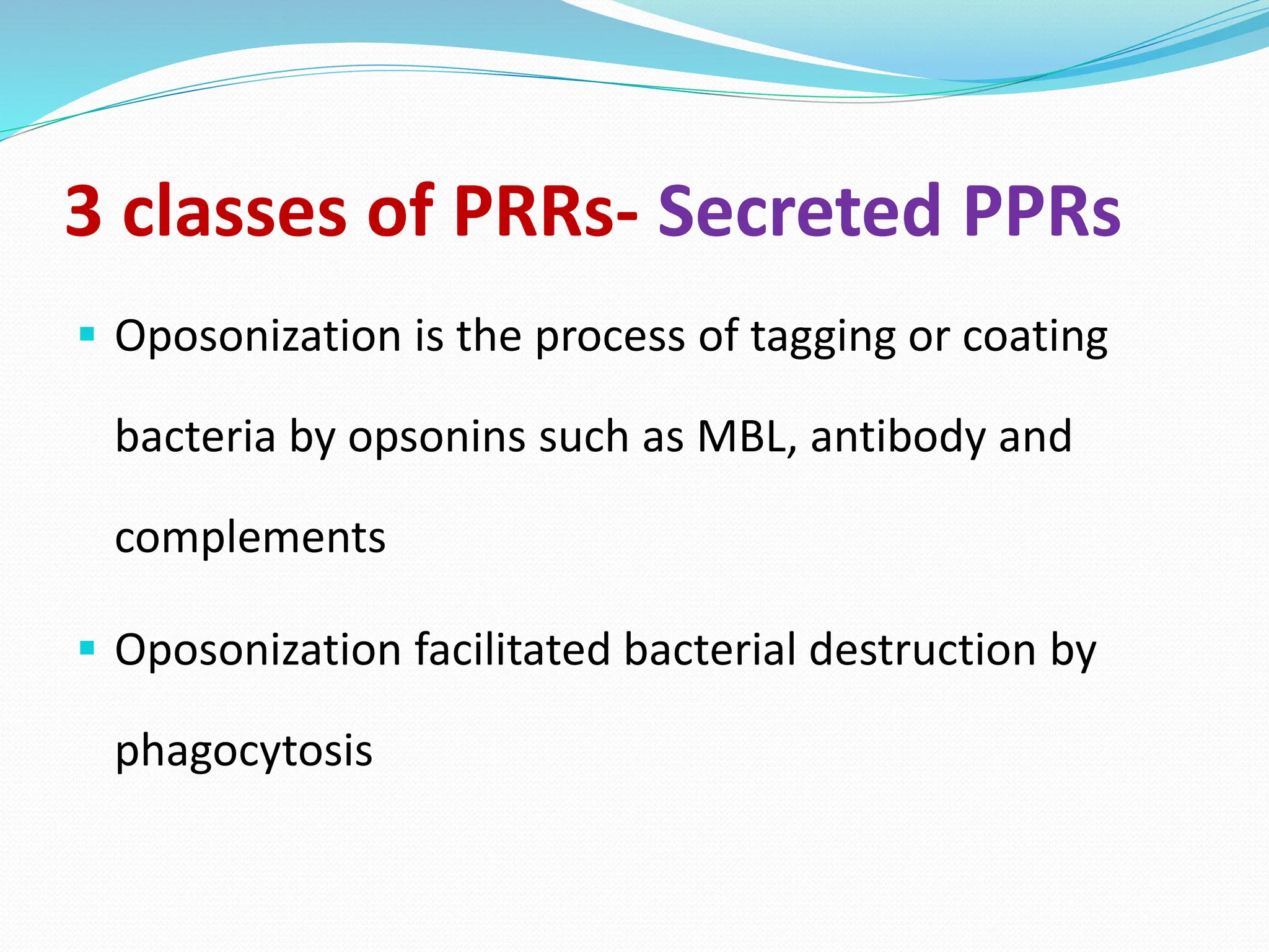 Pathogen Associated Molecular Patterns Pamps 2024 Notes Pptx