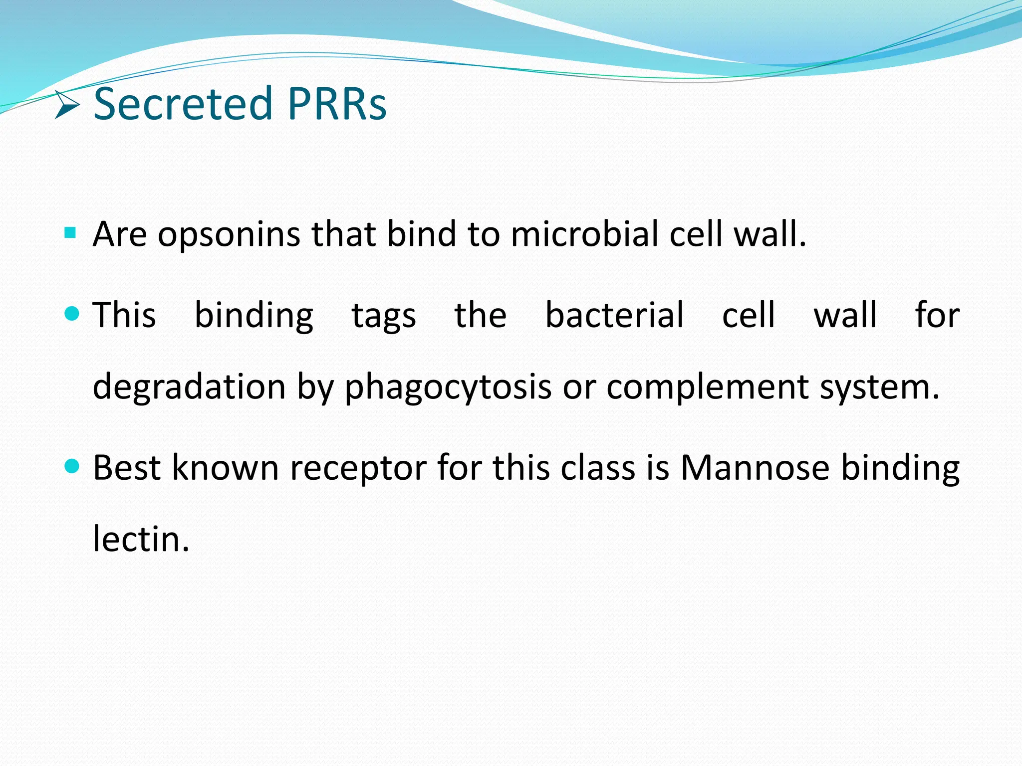 PATHOGEN ASSOCIATED MOLECULAR PATTERNS (PAMPs) - 2024 NOTES.pptx