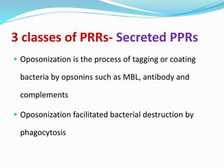PATHOGEN ASSOCIATED MOLECULAR PATTERNS (PAMPs) - 2024 NOTES.pptx