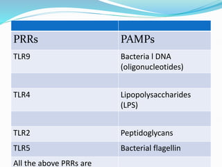 PATHOGEN ASSOCIATED MOLECULAR PATTERNS (PAMPs) - 2024 NOTES.pptx