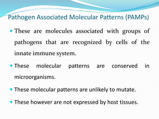 PATHOGEN ASSOCIATED MOLECULAR PATTERNS (PAMPs) - 2024 NOTES.pptx