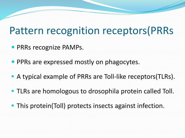 PATHOGEN ASSOCIATED MOLECULAR PATTERNS (PAMPs) - 2024 NOTES.pptx