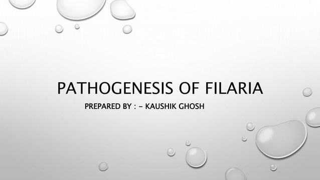 Pathogenesis of filariasis | PPTX