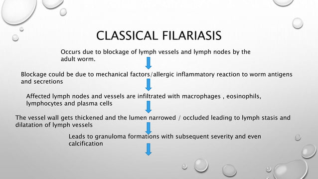 Pathogenesis of filariasis | PPTX