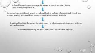 Pathogenesis of filariasis | PPTX