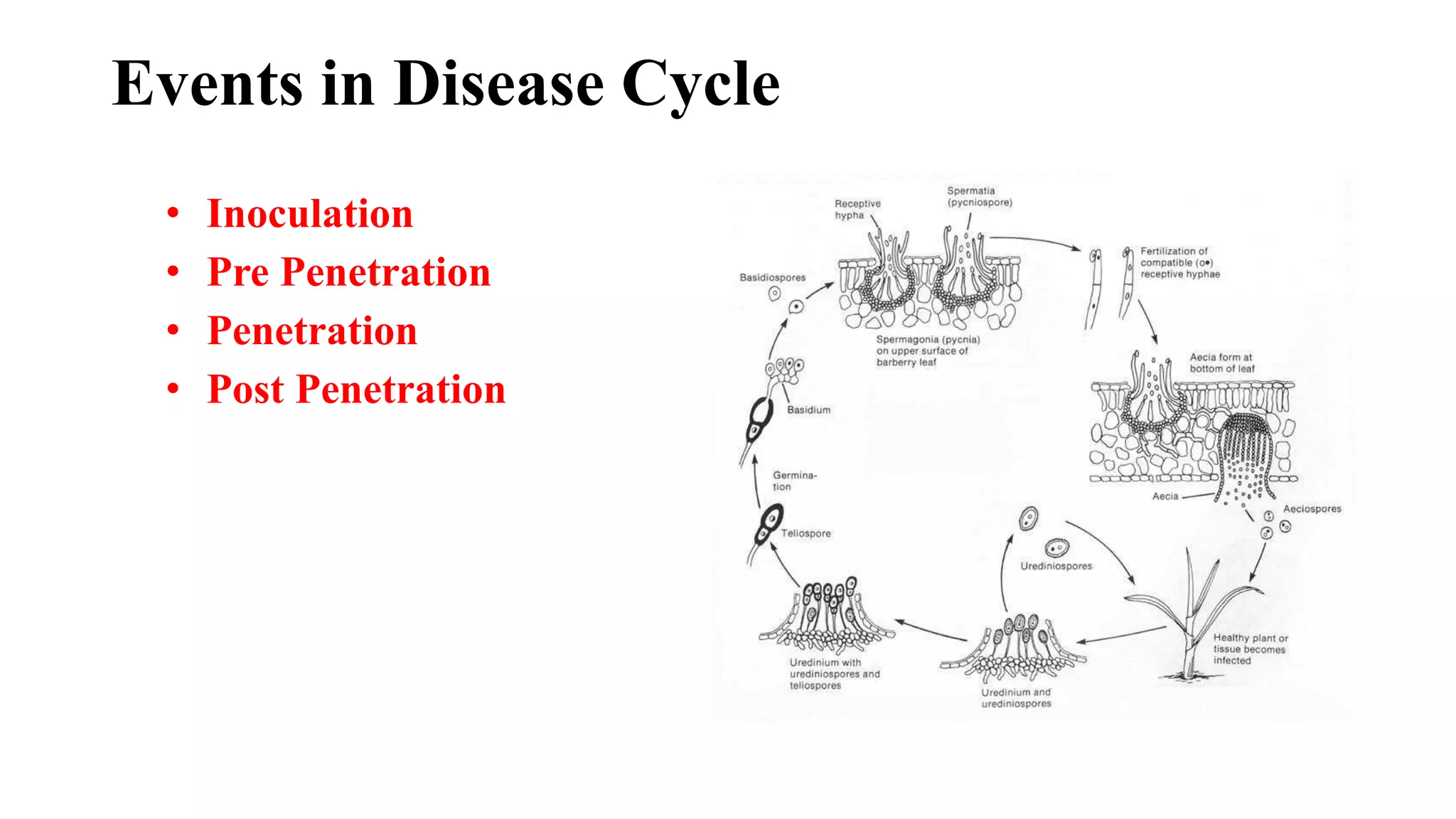 Pathogenesis | PPTX