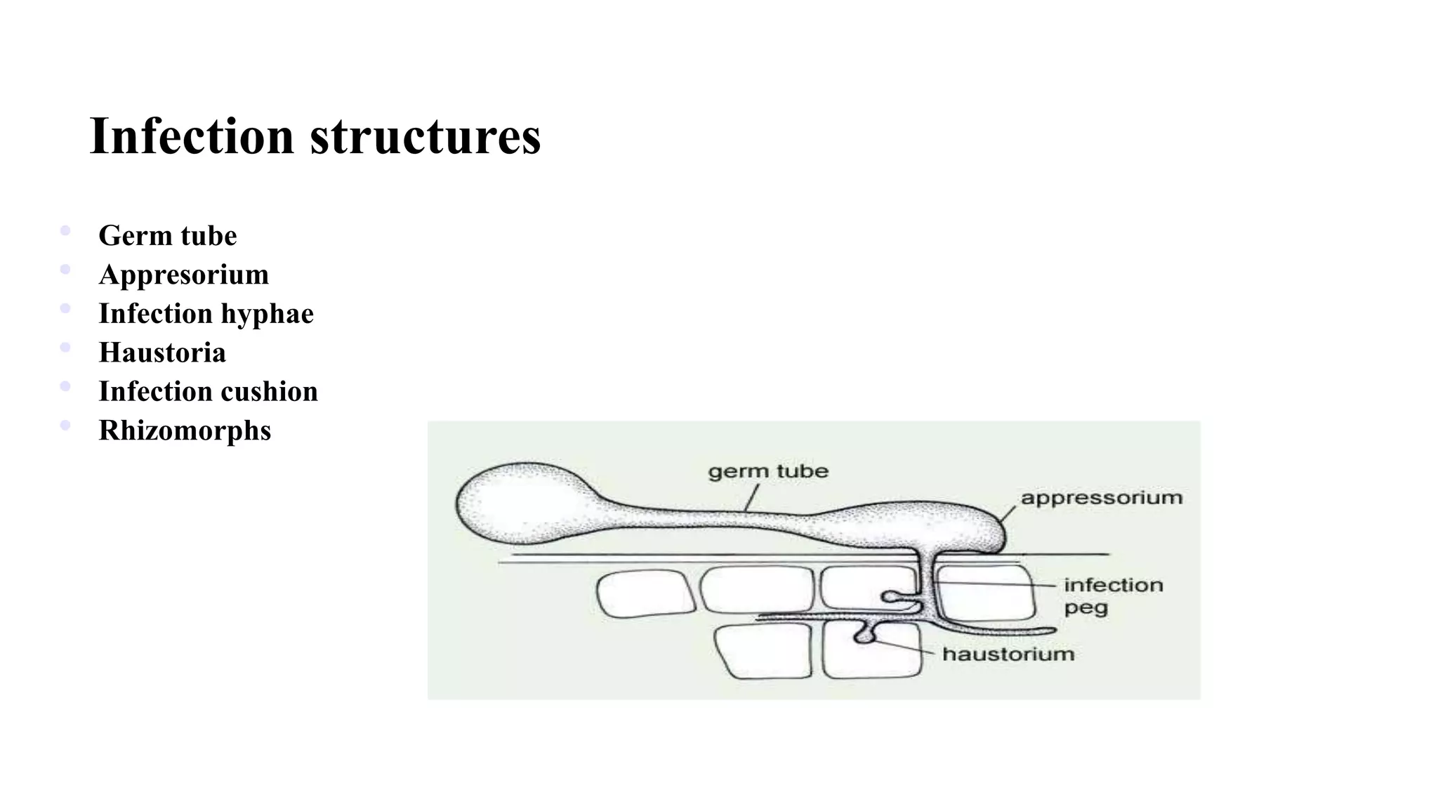 Pathogenesis | PPTX