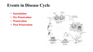 Pathogenesis | PPTX