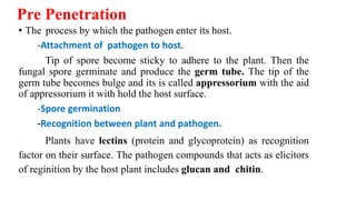 Pathogenesis | PPTX