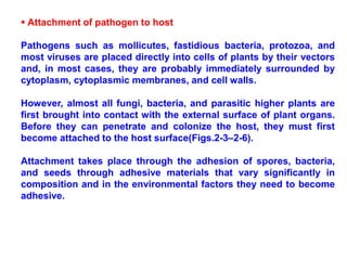 Pathogenesis | PPTX