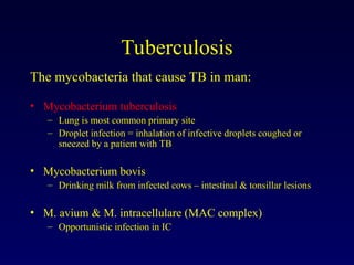 Pathogenesis-of-Granulomatous-Interstitial-Airways-Disease.ppt