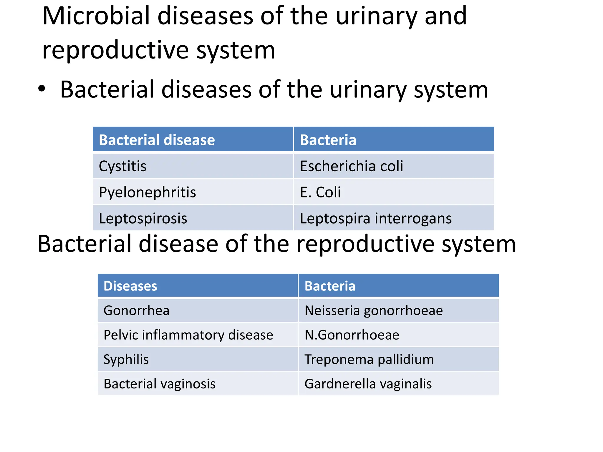 pathogenesis and common diseases presentation | PPTX