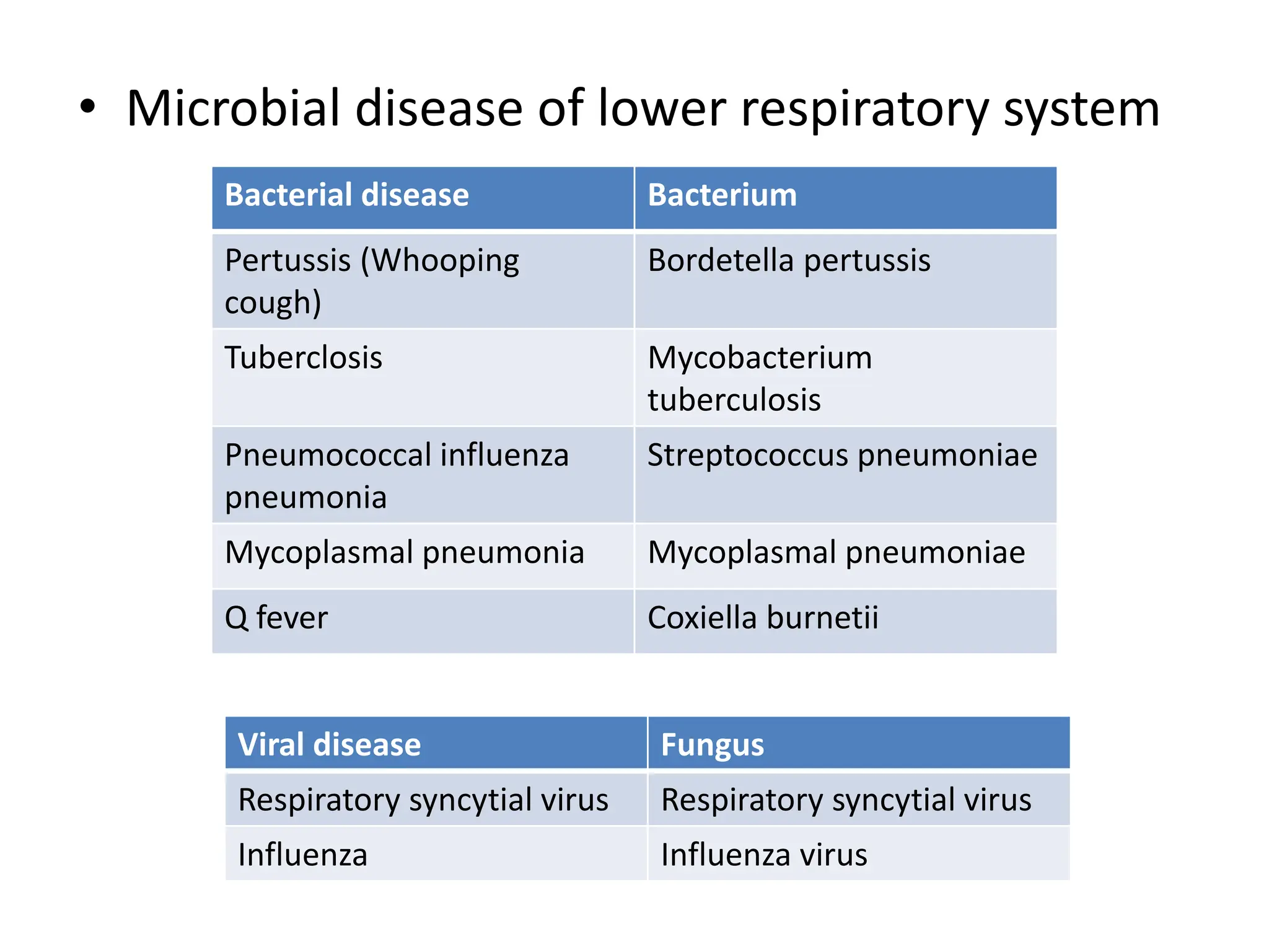 pathogenesis and common diseases presentation | PPTX