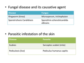 pathogenesis and common diseases presentation | PPTX