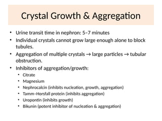 Pathogenesis and evaluation of urolithiasis POush 16.pptx