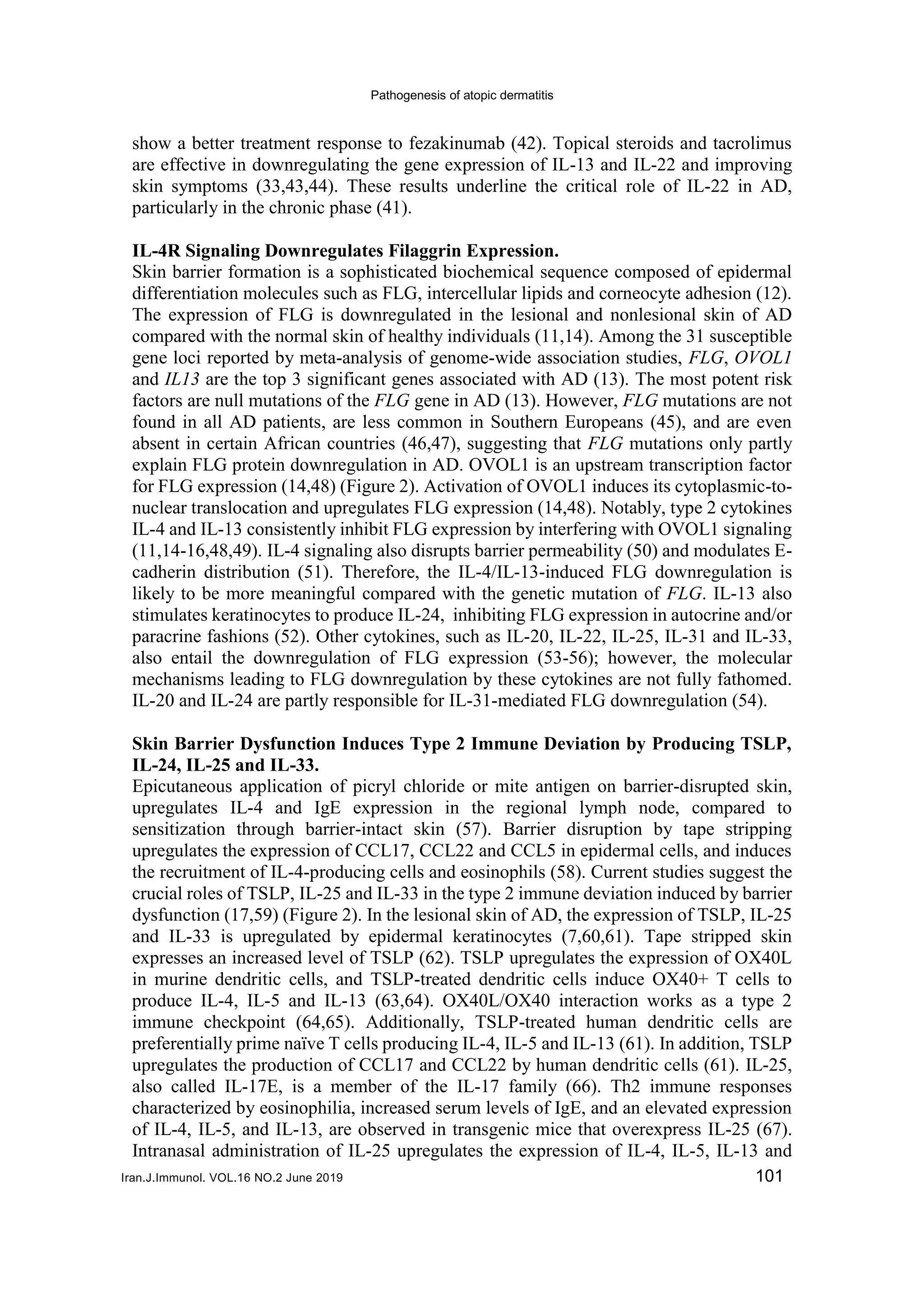 pathogenesis dermatitis atopik.pdf