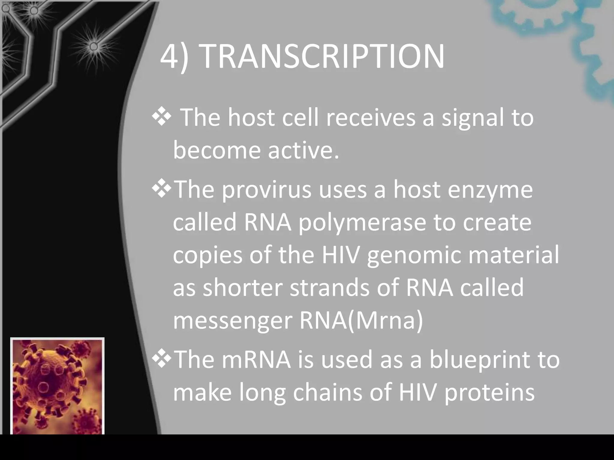 Pathogenesis Hiv Slide | PPTX