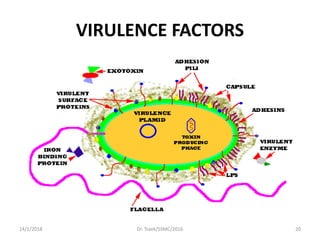 Pathogenesis i bacterial virulence factors | PPT