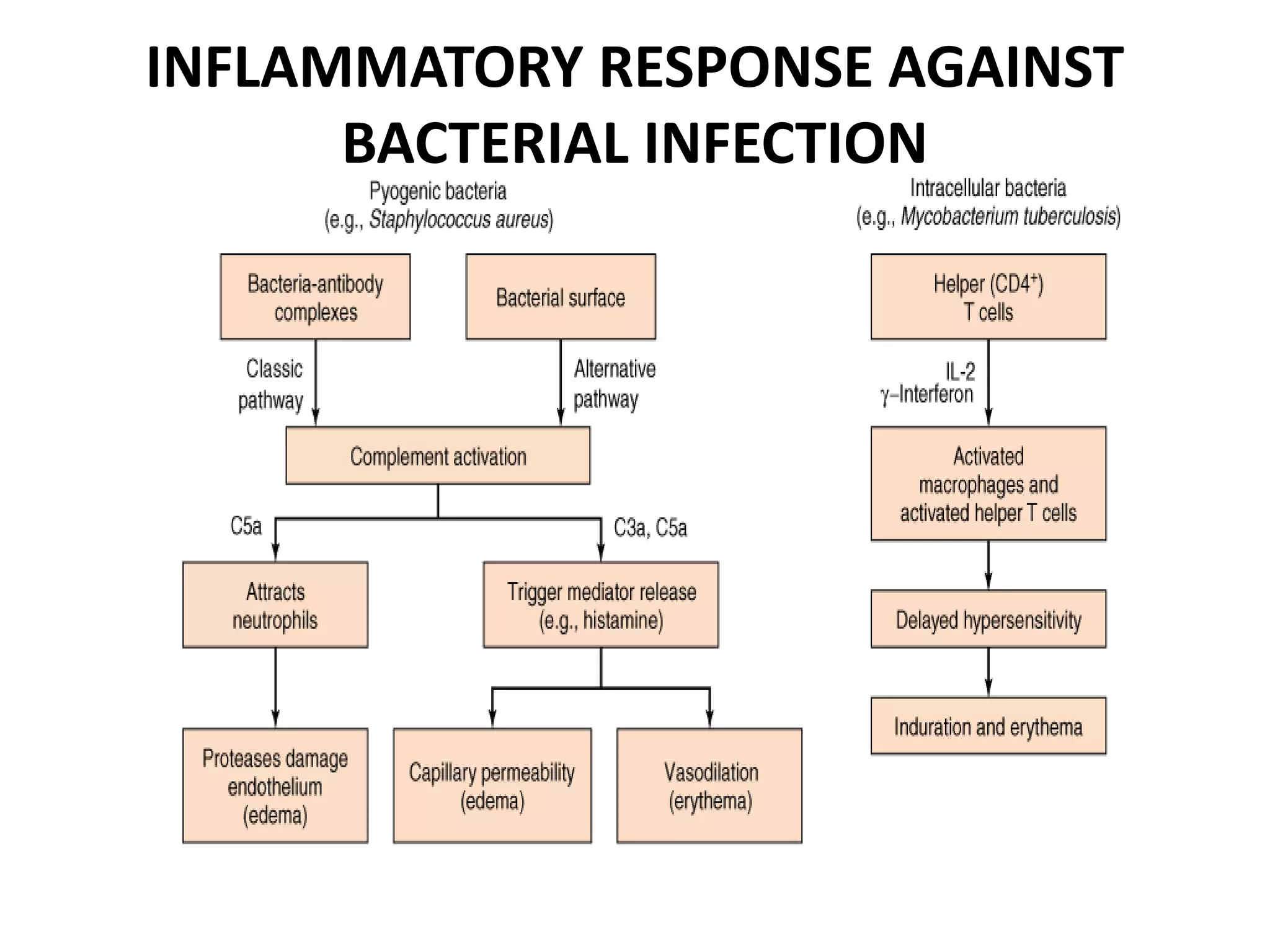 Pathogenesis II host defense of microbes | PPTX