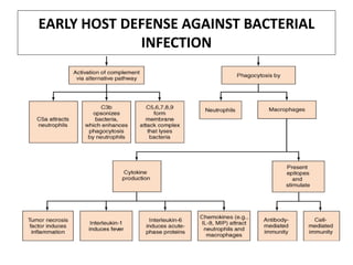 Pathogenesis II host defense of microbes | PPTX