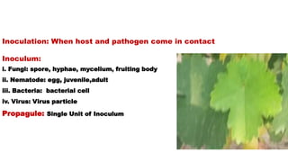 Pathogenesis in Plant Diseases: Inoculation | PPTX