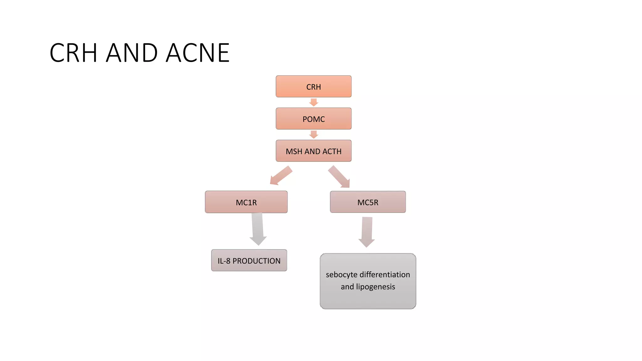 Pathogenesis of acne | PPT | Free Download