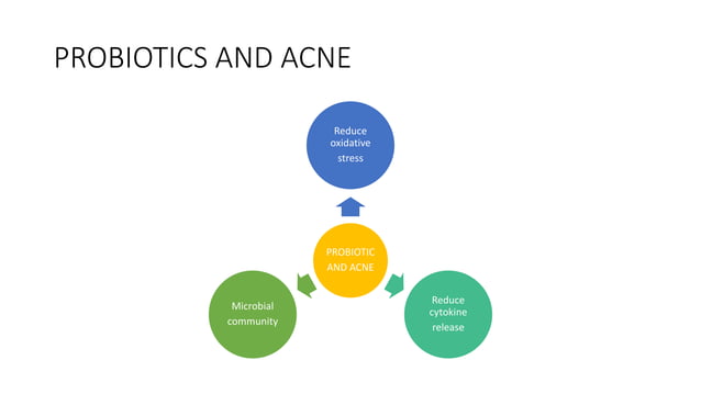 Pathogenesis of acne | PPT | Free Download