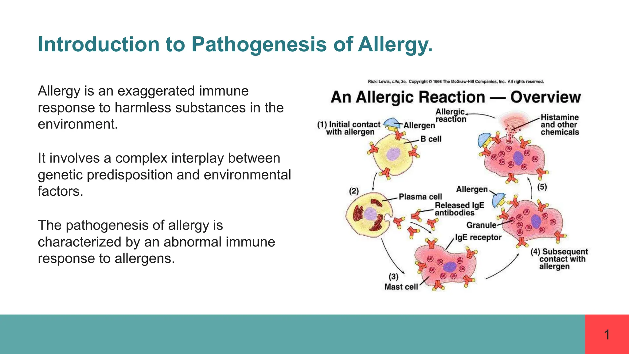 Pathogenesis Of Allergy reaction and prevention | PPT