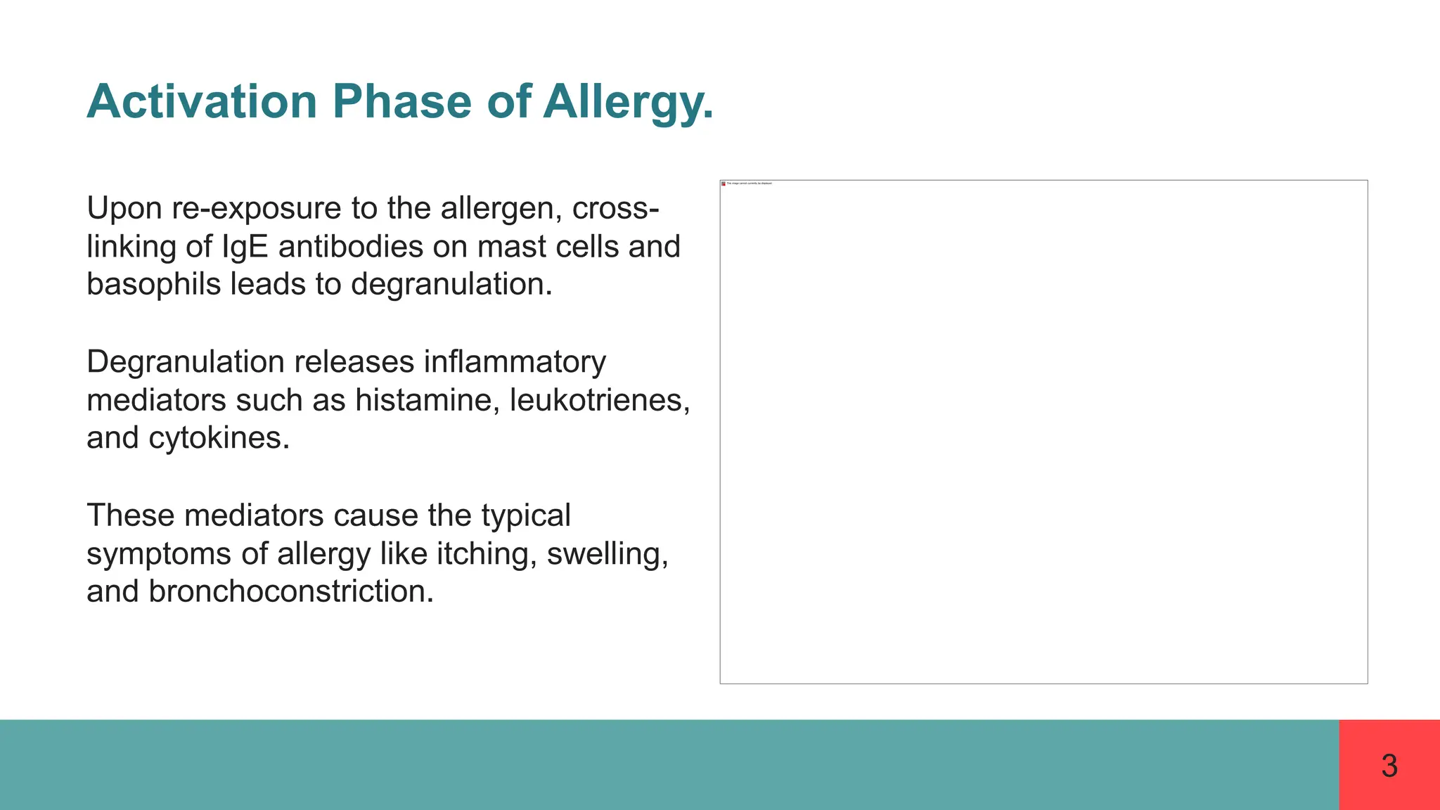 Pathogenesis Of Allergy reaction and prevention | PPT