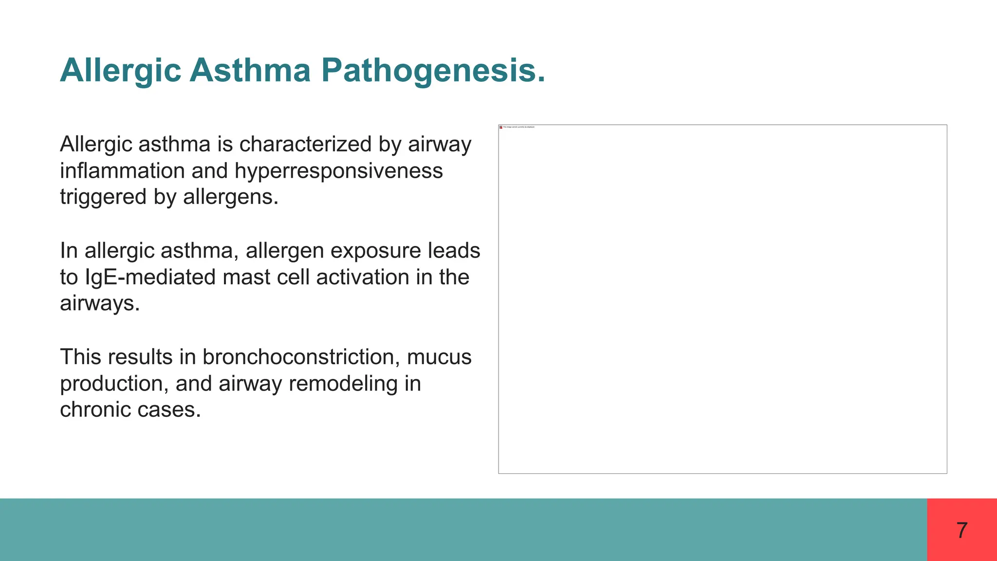 Pathogenesis Of Allergy reaction and prevention | PPT