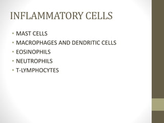 Pathogenesis of asthma | PPTX