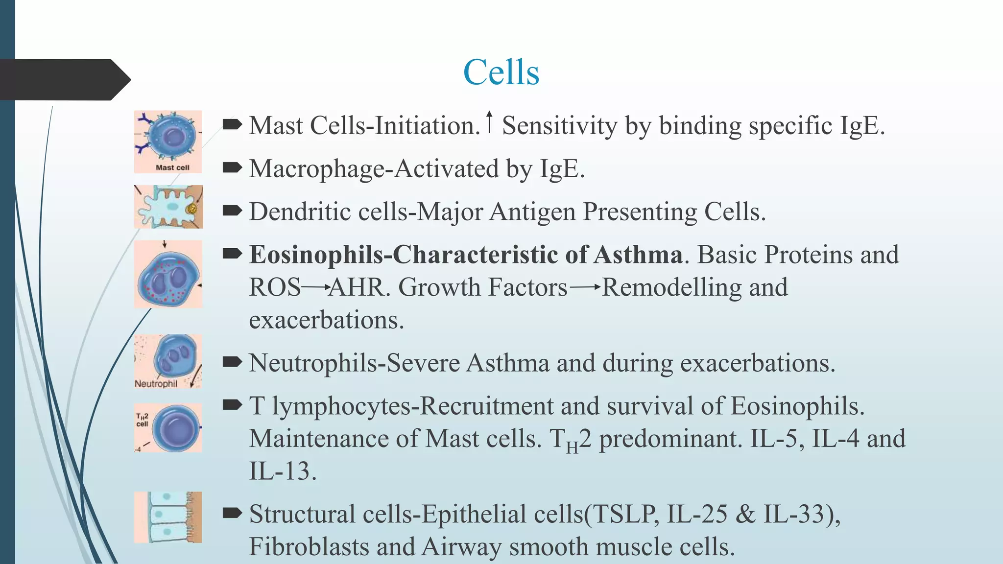 Pathogenesis of asthma | PPTX