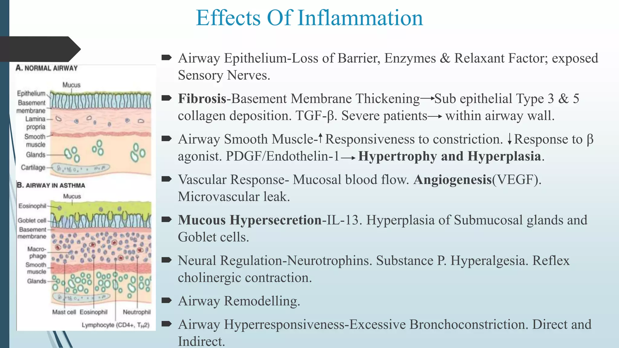 Pathogenesis of asthma | PPTX