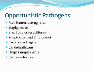 Pathogenesis of bacterial infection and nosocomial infection | PPTX