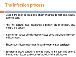 PATHOGENESIS_OF_BACTERIAL_INFECTION _MBChB _ 11-Sept-2024.pptx