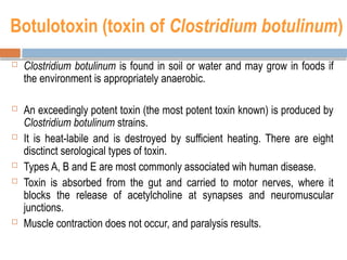 PATHOGENESIS_OF_BACTERIAL_INFECTION _MBChB _ 11-Sept-2024.pptx