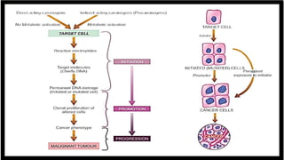 Pathogenesis of cancer | PPTX