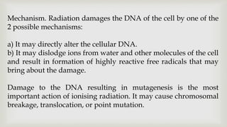Pathogenesis of cancer | PPTX